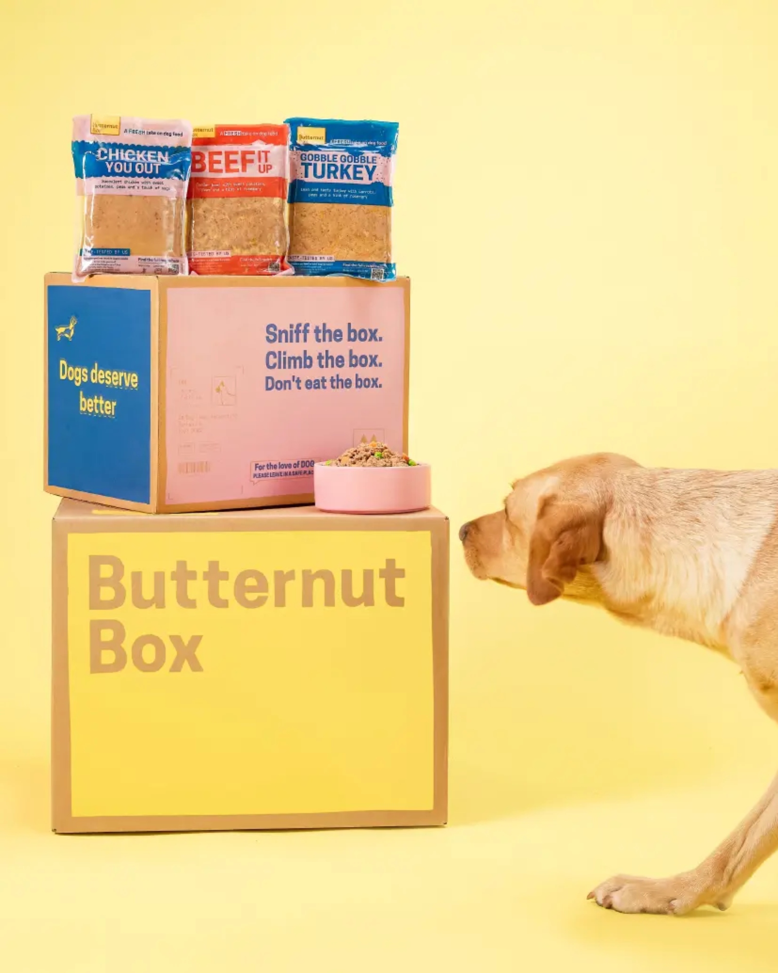 Butternut Box - Wild at Heart Foundation