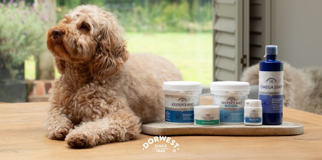 Essential Herbal Supplements for Your Dog - Wild at Heart Foundation